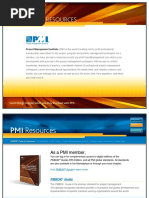 BS 4652 - 1995 | PDF | Paint | Zinc