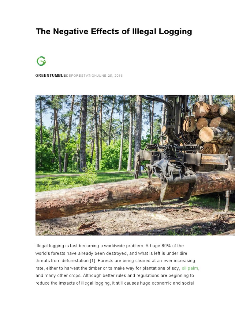 The Negative Effects of Illegal Logging: Greentumble | PDF ...