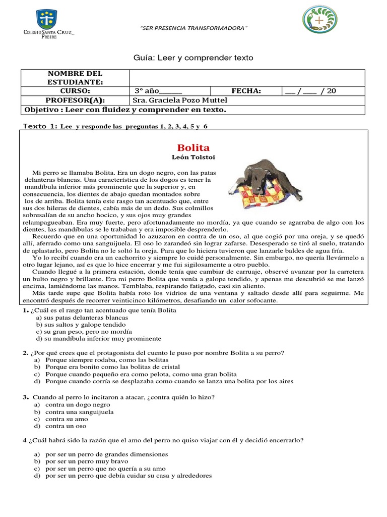 GUÍA COMPRENSIÓN DE LECTURA 3º A y B | PDF | Aves | Paravianos