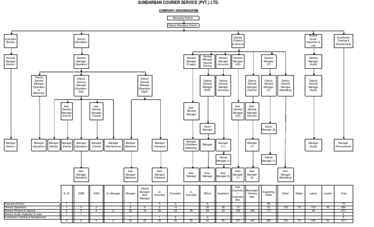 Organogram PDF | PDF | Business