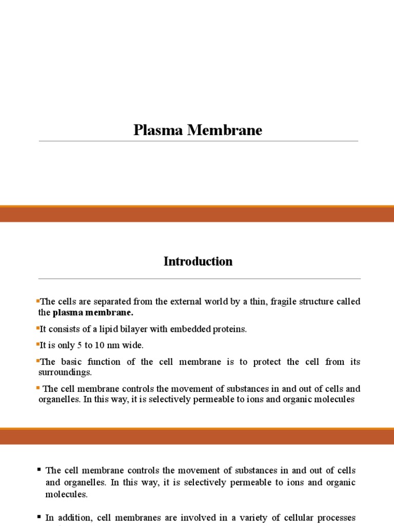 Understanding Plasma Membrane Functions | PDF | Self-Improvement ...