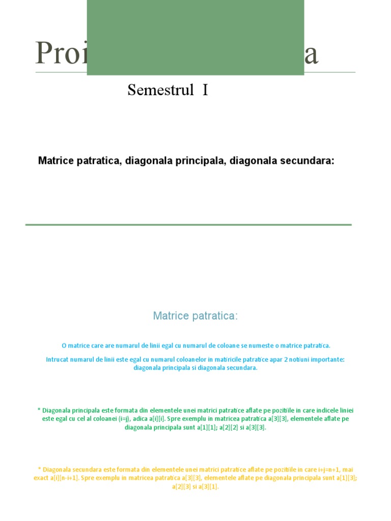 Proiect La Informatica | PDF