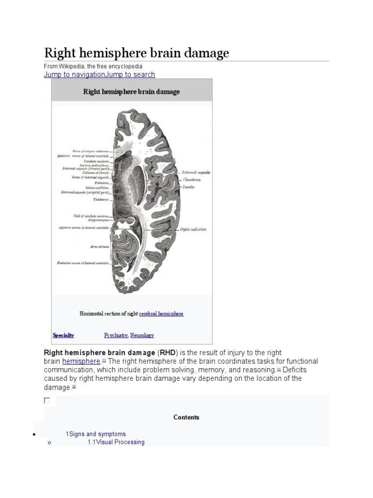 Right Hemisphere Brain Damage: Jump To Navigation Jump To Search | PDF ...