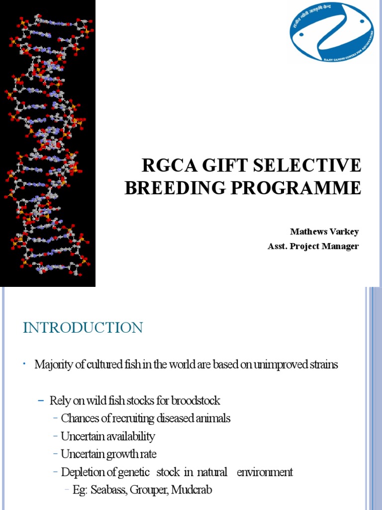 RGCA Selective Breeding Program Overview | PDF | Inbreeding | Selective ...