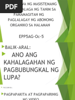 Epp5 - Afa - Module 1 | PDF