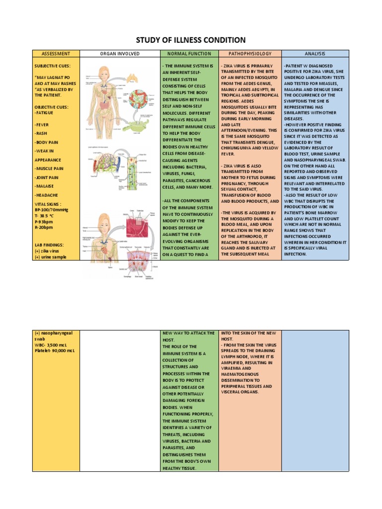 Study of Illness Condition: Assessment Organ Involved Normal Function ...