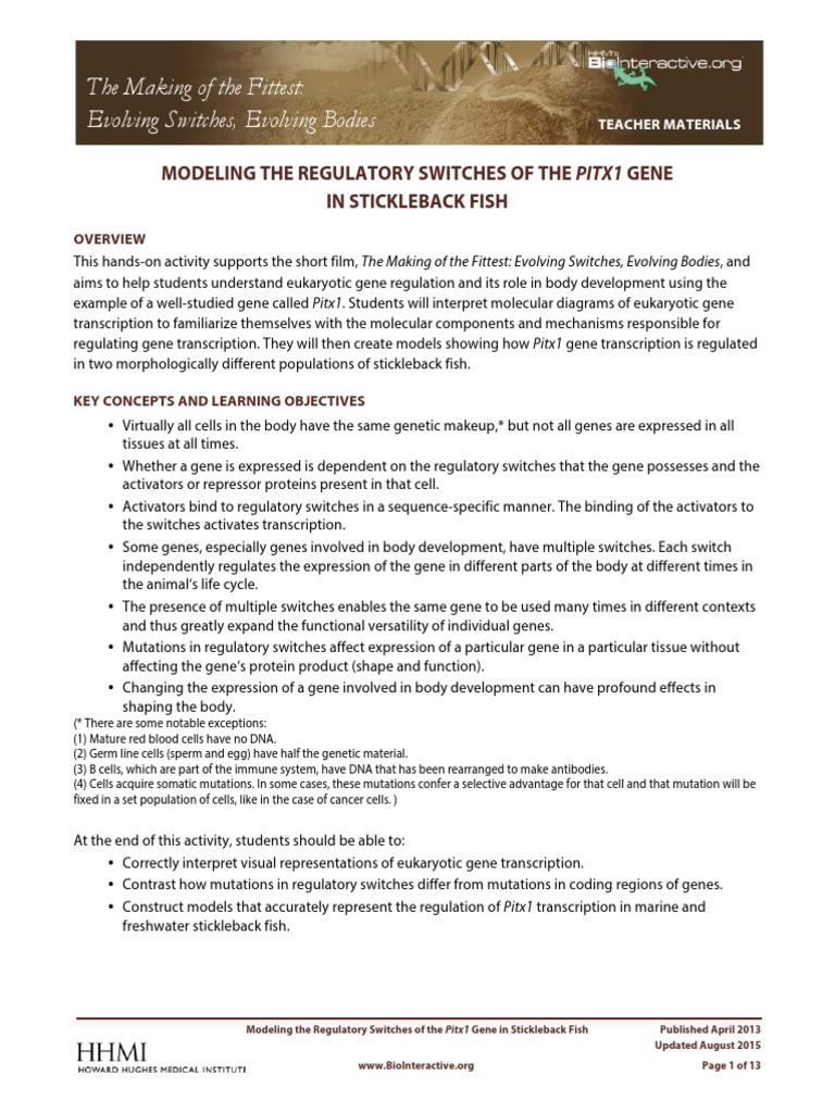 The Making of The Fittest: Evolving Switches, Evolving Bodies | PDF ...