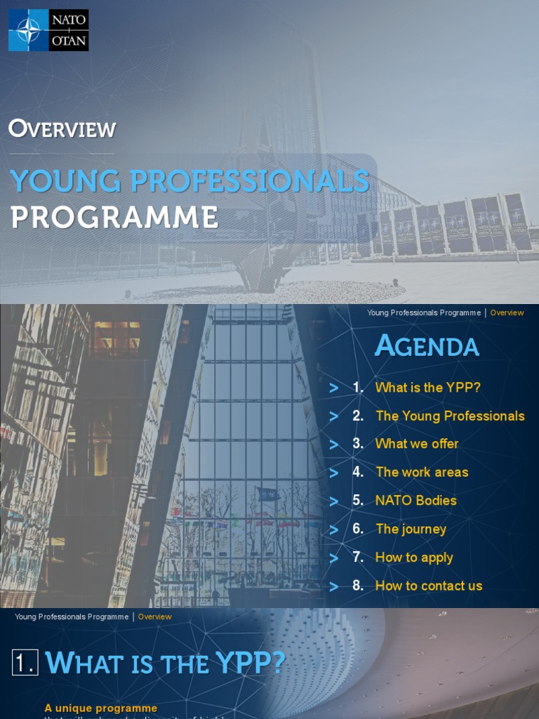 NATO Young Professionals Programme Overview | PDF | Business