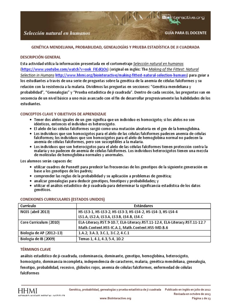 SickleCell Genetics Teacher Spanish | PDF | Genotipo | Dominancia ...