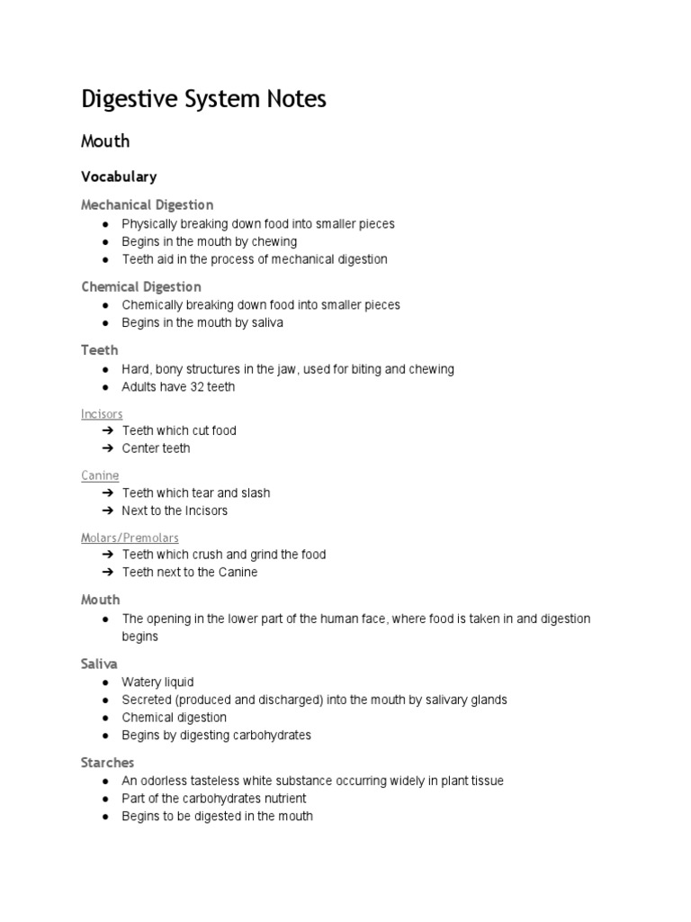 Digestive System Notes | PDF | Small Intestine | Stomach