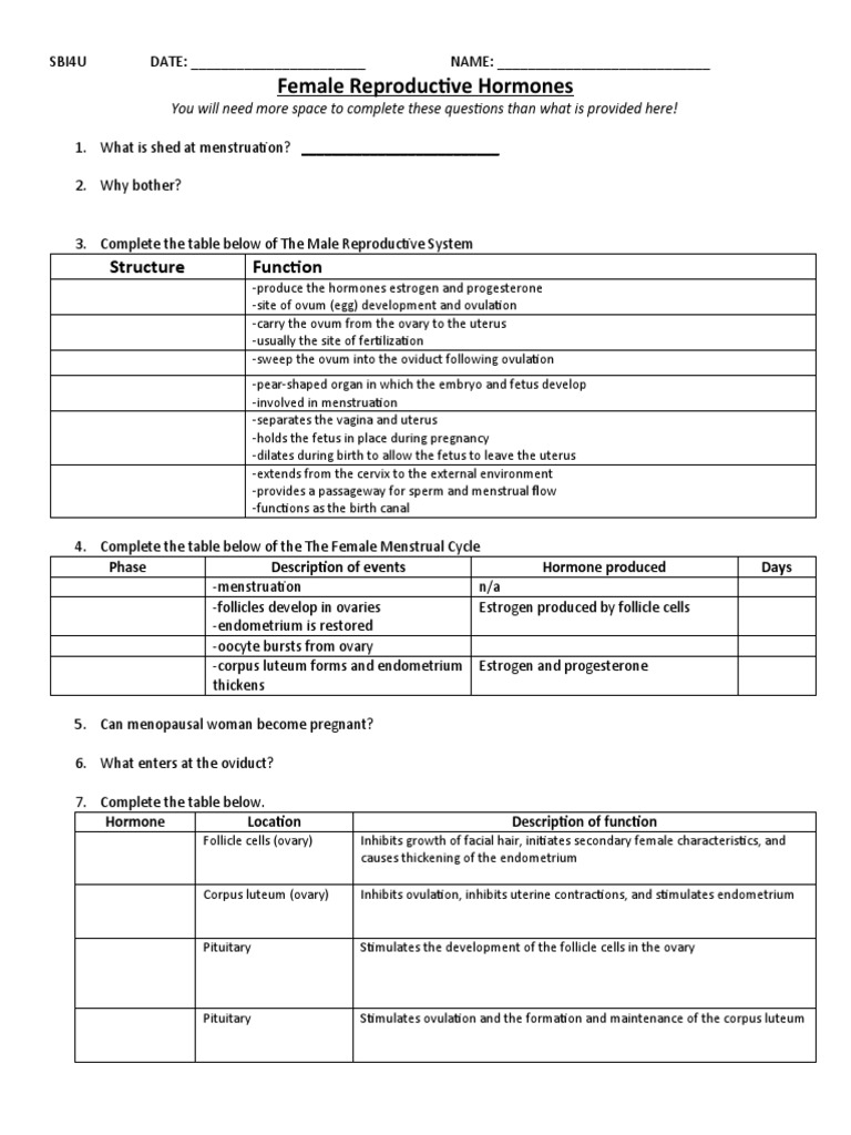 E Hormones Handout Answers | PDF | Menstrual Cycle | Ovary
