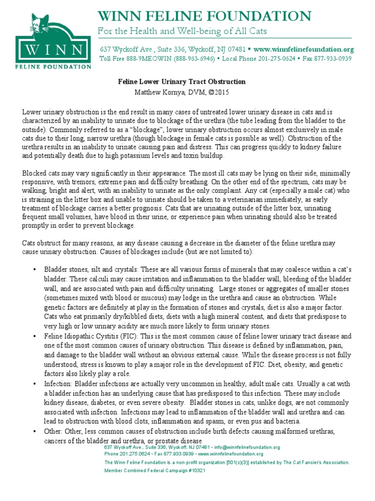 For The Health and Well-Being of All Cats: Feline Lower Urinary Tract ...