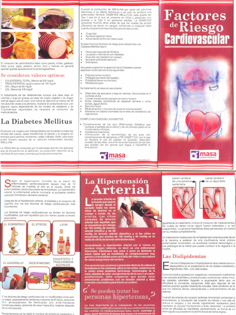 Folleto de Factores de Riesgo Cardiovascular | PDF