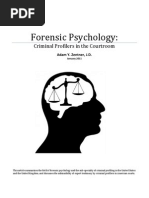 Crime Analysis Report - Template | PDF | Microsoft Excel | Data Analysis