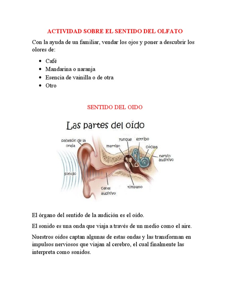 El Sentido de La Audición | PDF
