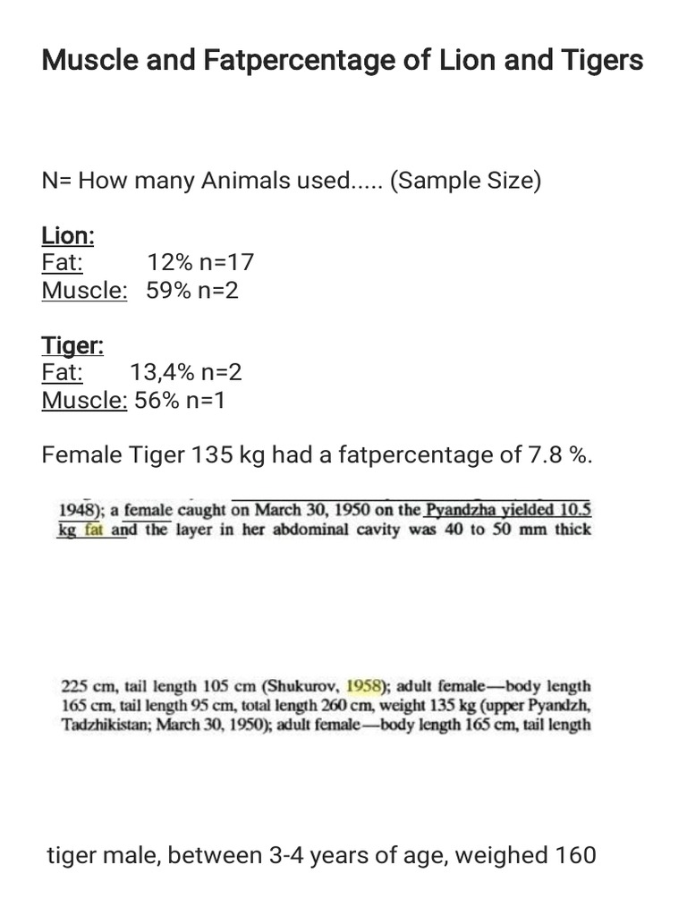 Lion vs Tiger Muscle and Fat Analysis | PDF | Tiger | Lion