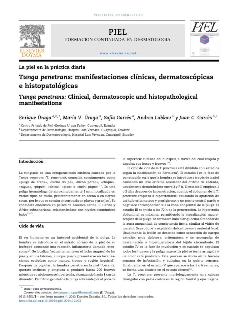 Tungiasis: diagnóstico y tratamiento | PDF | Piel | Especialidades Medicas