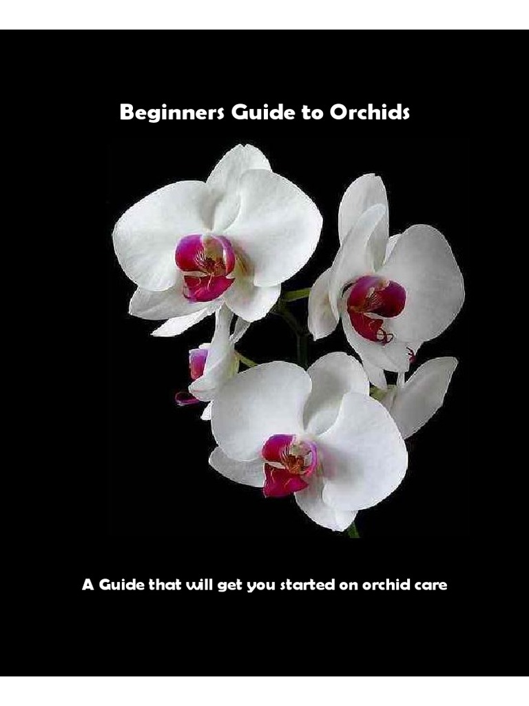 Beginners Guide To Orchids PDF | PDF