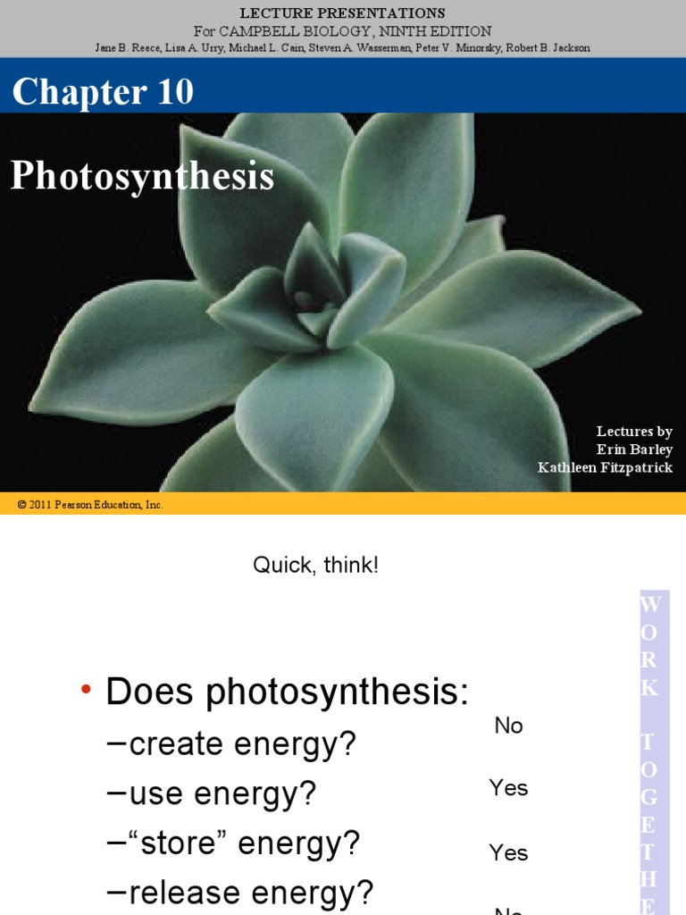 Photosynthesis: For Campbell Biology, Ninth Edition | PDF ...