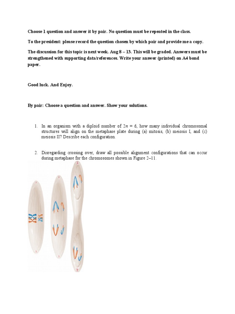 Cell Division Activity | Download Free PDF | Meiosis | Mitosis