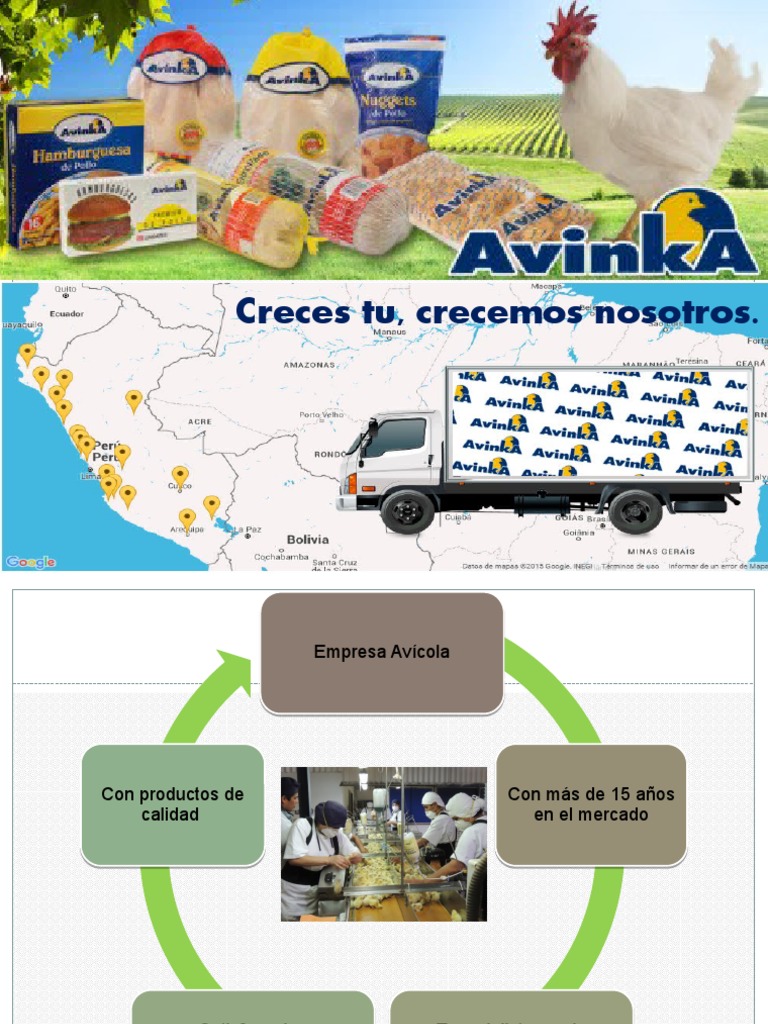 Avinka: Calidad y Proceso Avícola | PDF | Costo | Business