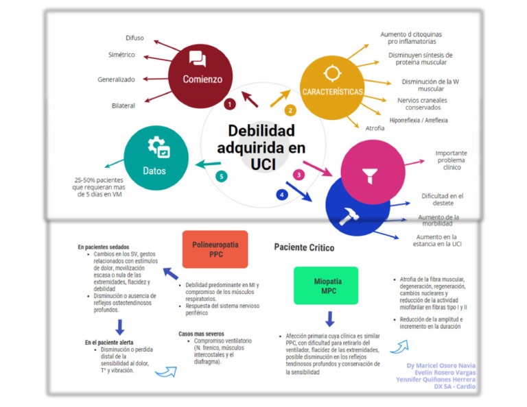 Mapa Mental Debilidad Adquirida UCI | PDF