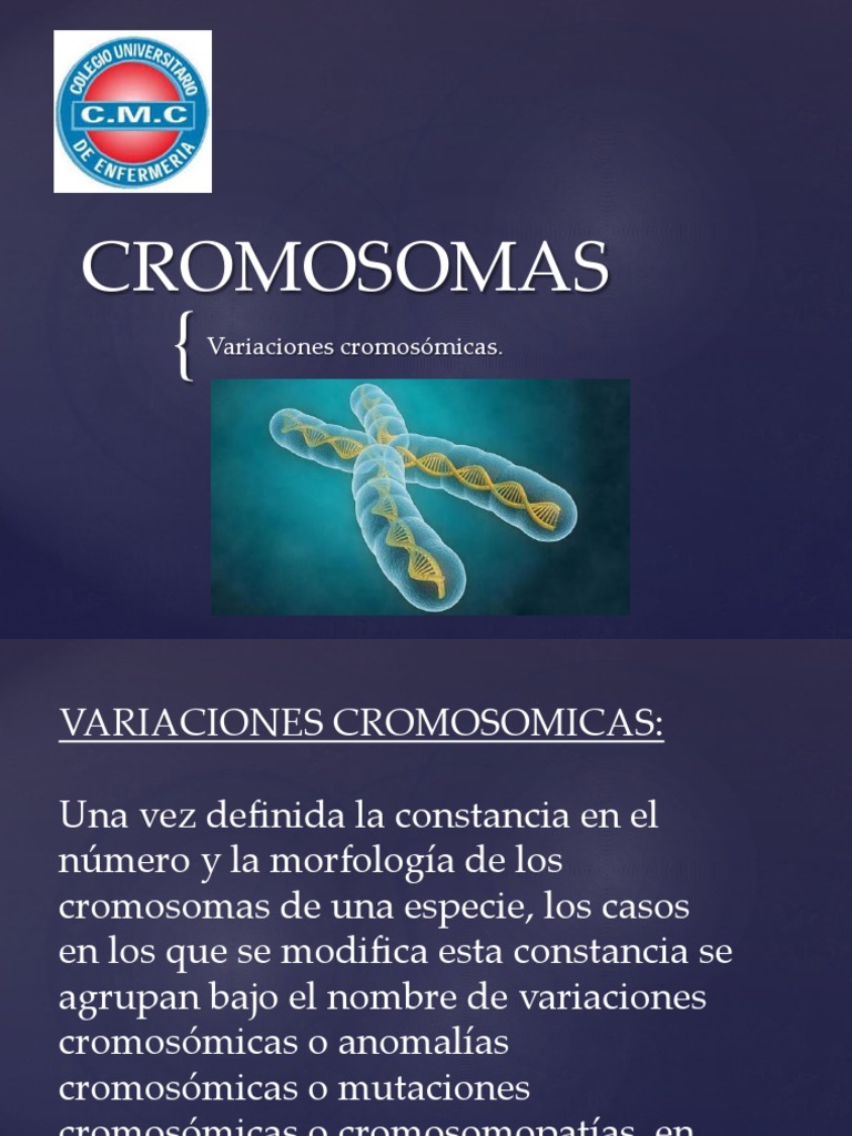 CROMOSOMAS | PDF | Cariotipo | Cromosoma