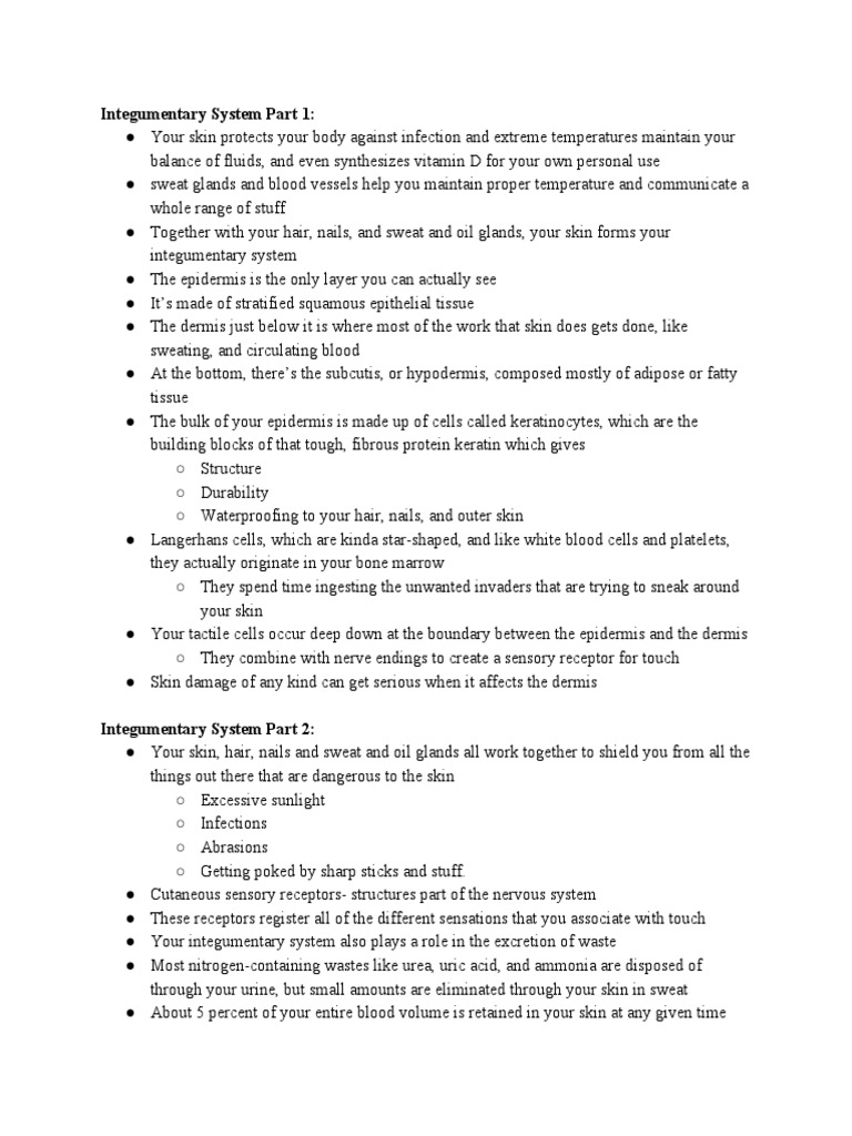 Skin Crash Course (Graphic Organizer) | PDF | Integumentary System | Skin
