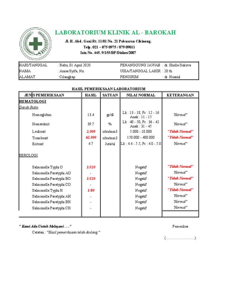 Hasil Lab Tipes Anisa Syifa | PDF