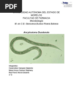 Acino Pulmonar y Enfisema | PDF | Ciencia y matemáticas