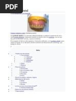 La Línea de Fulcro | PDF | Dentadura postiza | Naturaleza
