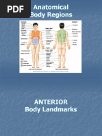 Anatomical Surface Landmarks Guide | PDF