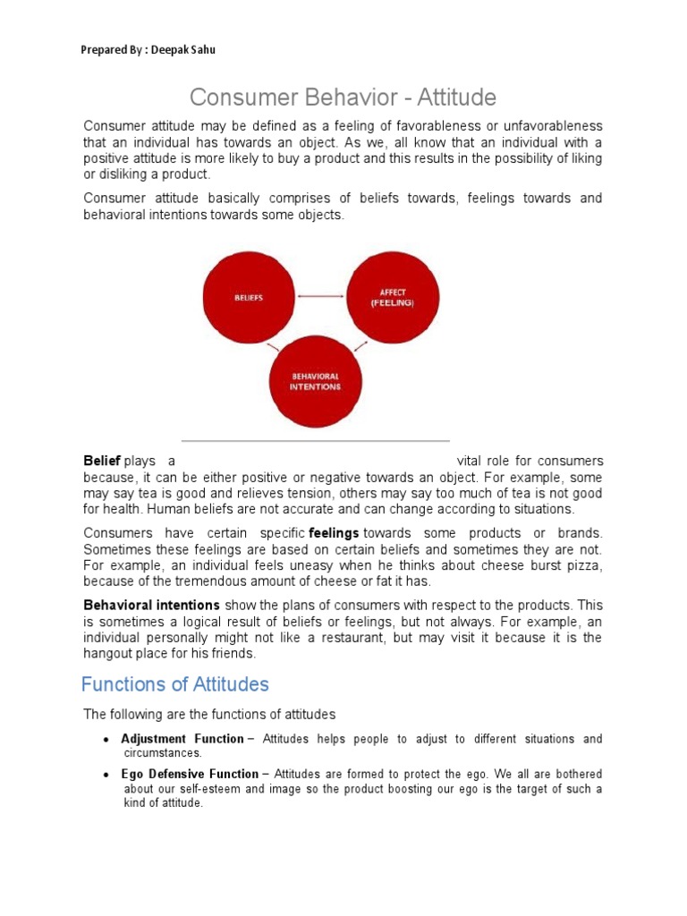 Functions and Models of Consumer Attitude | PDF | Attitude (Psychology ...