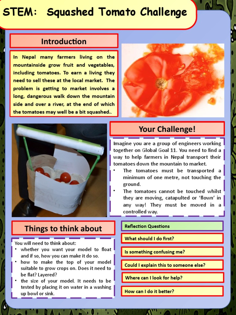 Squashed Tomato Stem Challenge | PDF | Self-Improvement