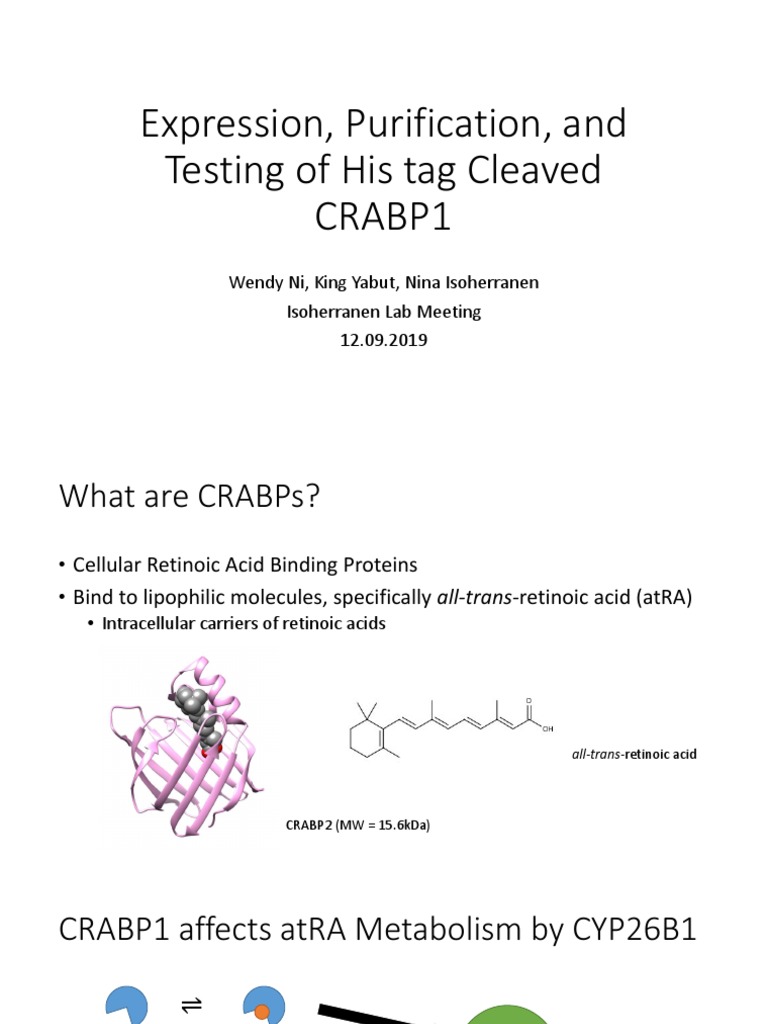 Expression, Purification, and Testing of His Tag Cleaved Crabp1 | PDF ...