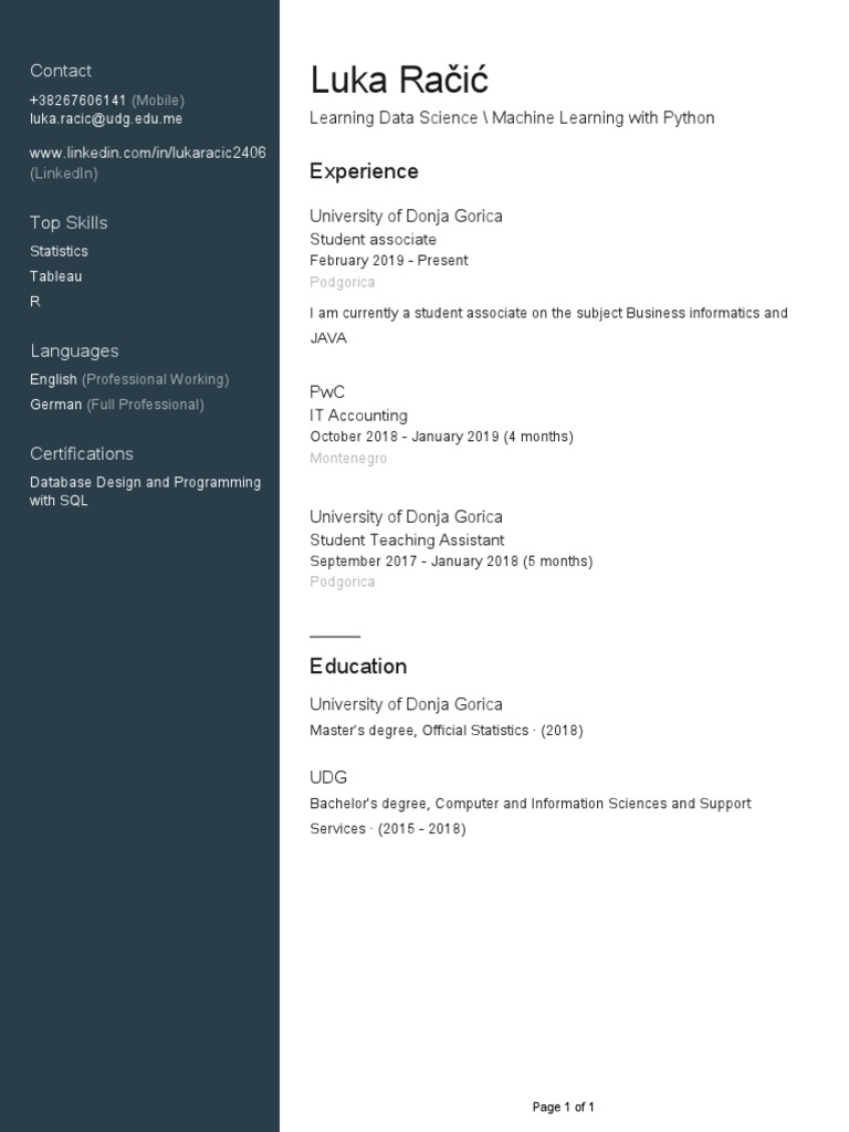CV Luka Racic | PDF