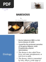 Enterobius Vermicularis: Cellophane (Scotch) Tape Method | PDF ...