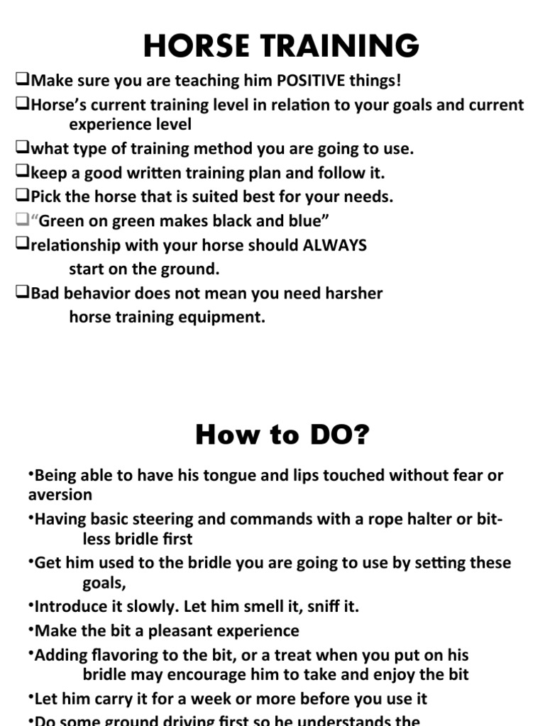 Horse Training | PDF | Equestrianism | Horse Gait