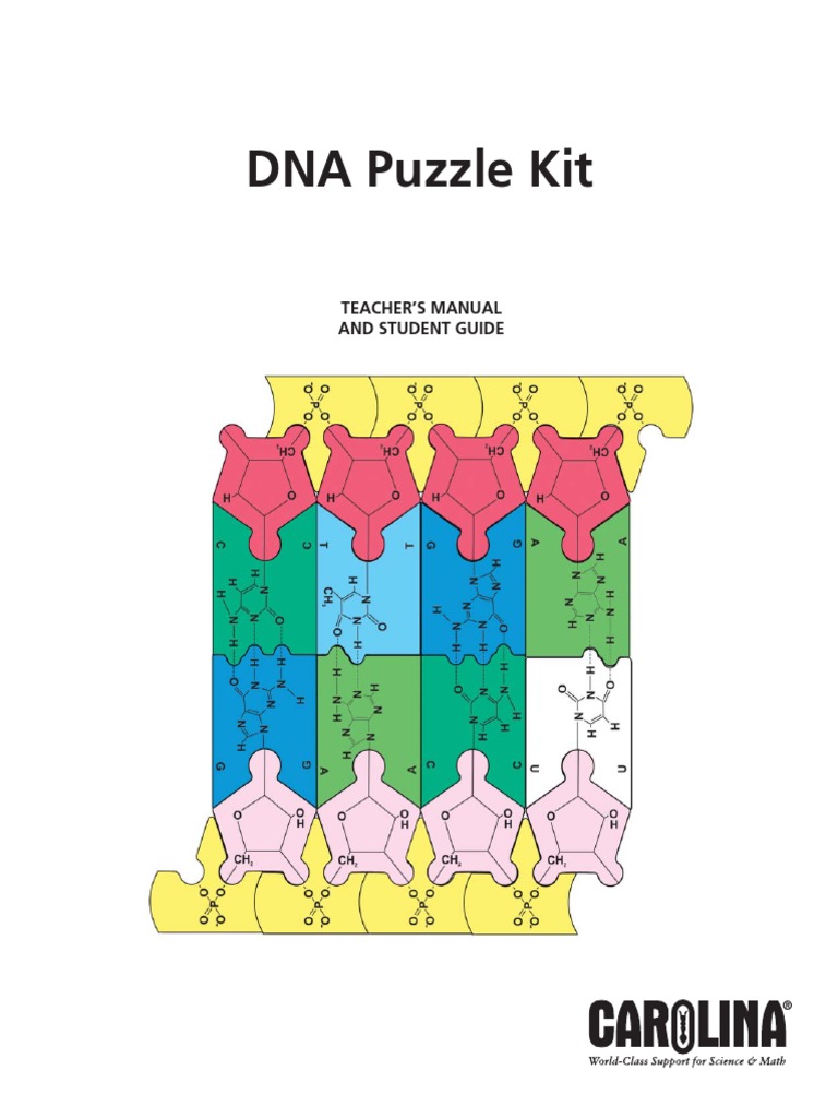 DNA Puzzle Kit: Teacher'S Manual and Student Guide | PDF | Translation ...