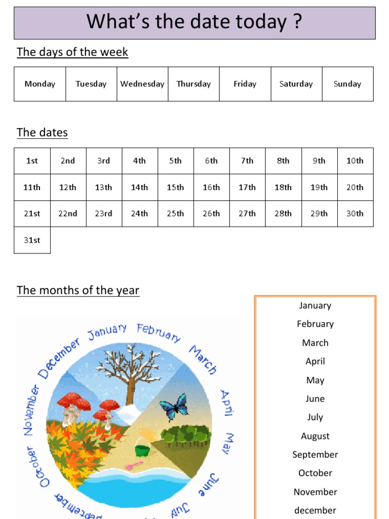 What's The Date Today ?: The Days of The Week | PDF