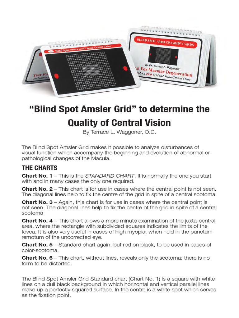 Analyzing Visual Disturbances Through the Blind Spot Amsler Grid | PDF ...