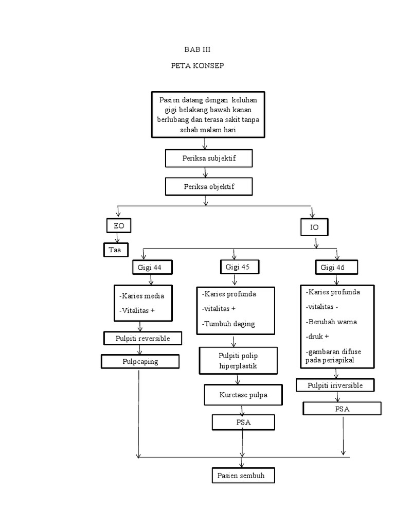 BAB III Peta Konsep | PDF