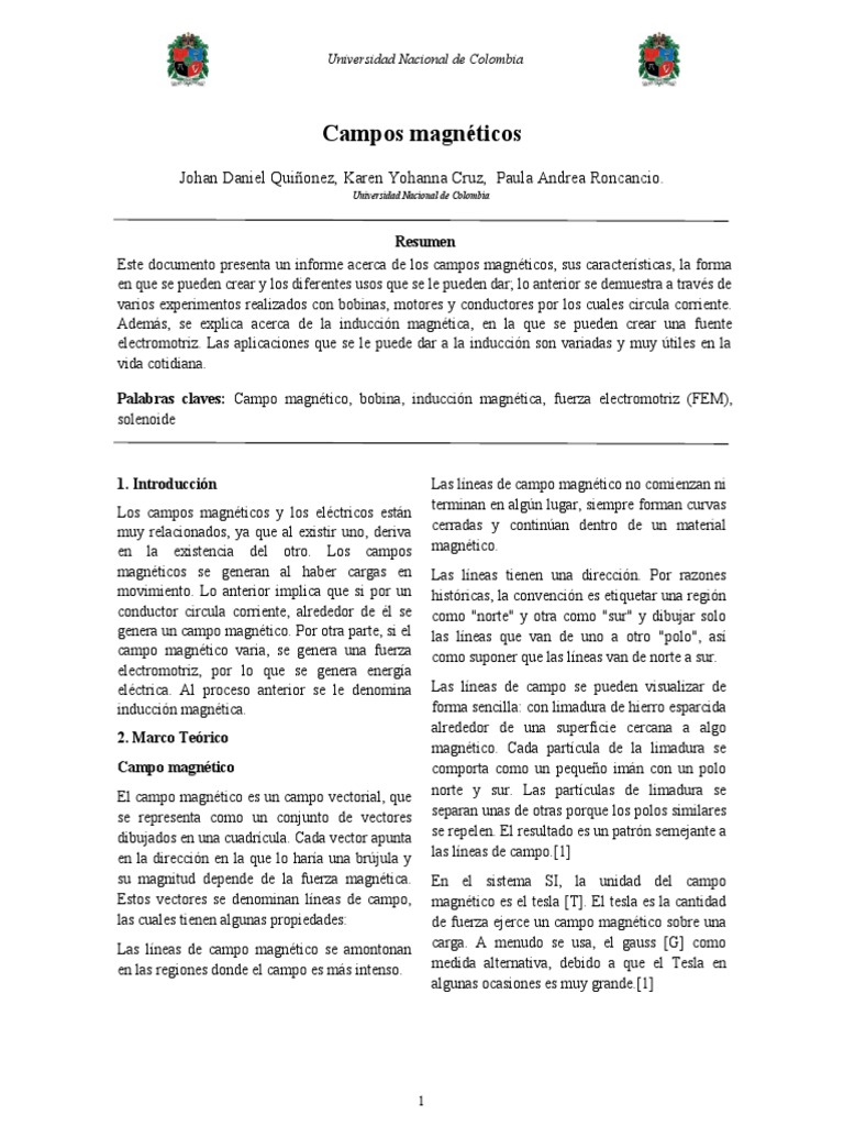 Informe 7 Campos Magnéticos | PDF | Campo magnético | Magnetismo