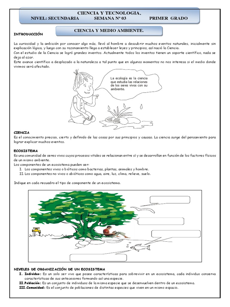 Ciencia y Ambiente PDF | PDF | Ecosistema | Organismos