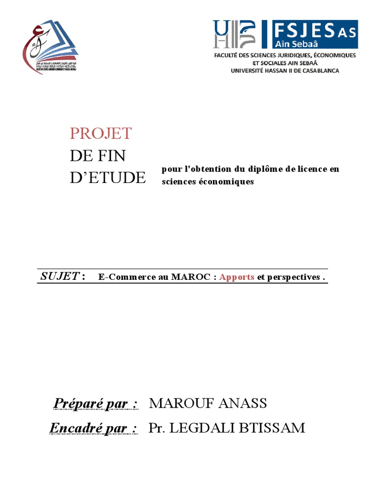 Plan Du Pfe E-Commerce | PDF