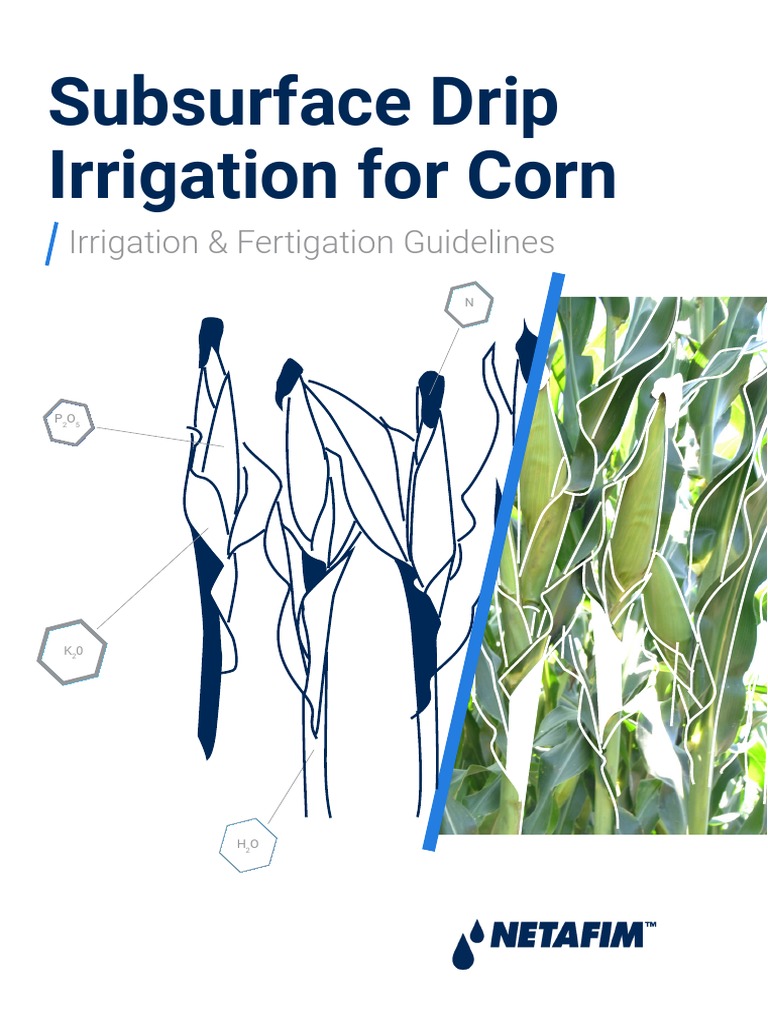 Subsurface Drip Irrigation For Corn | PDF | Loam | Soil