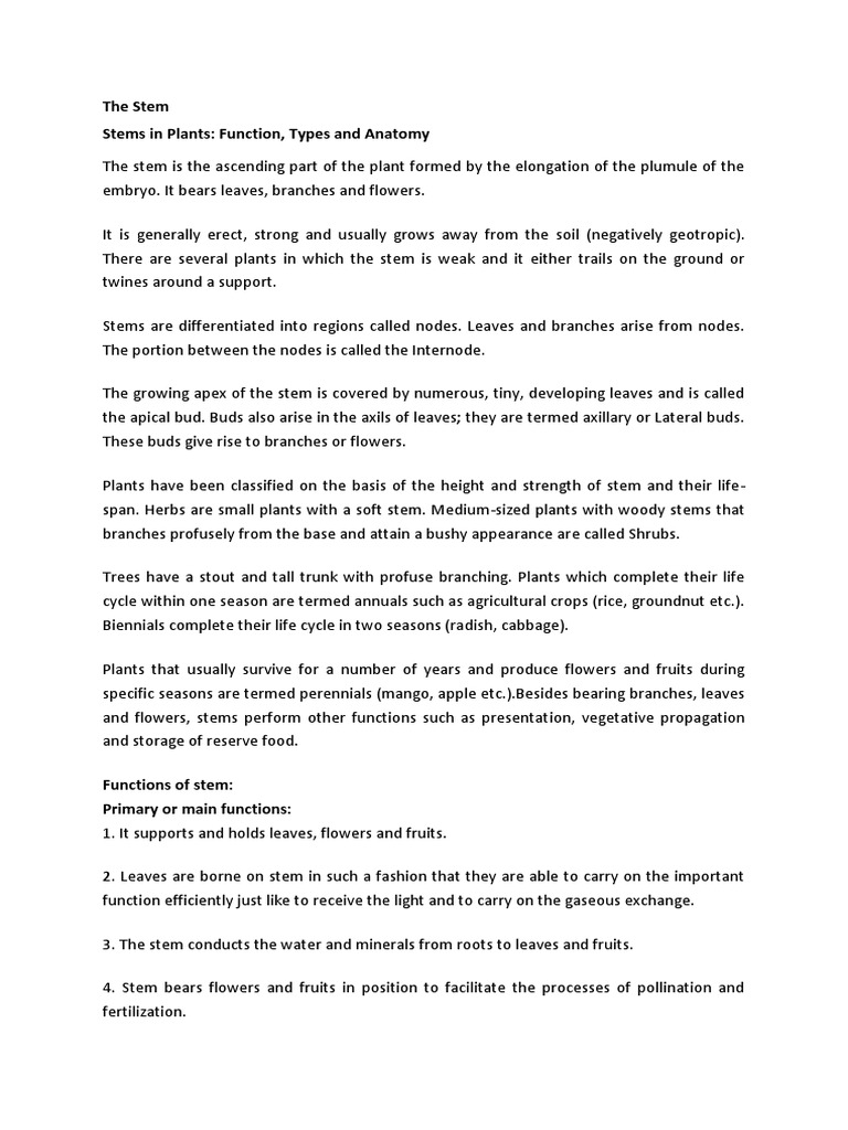 Lecture 21 The Stem (Primary Structure of Flowering Plant Body) | PDF ...