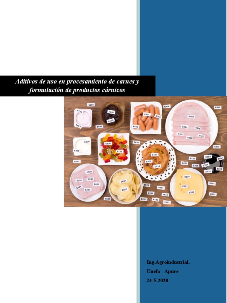 Aditivos e ingredientes clave utilizados en el procesamiento de carnes ...