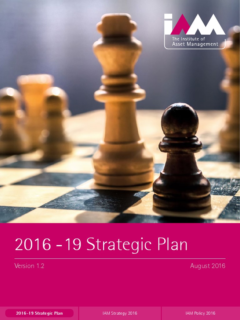 Iam Strategicplan Version1 2september 2016web | PDF | Strategic ...