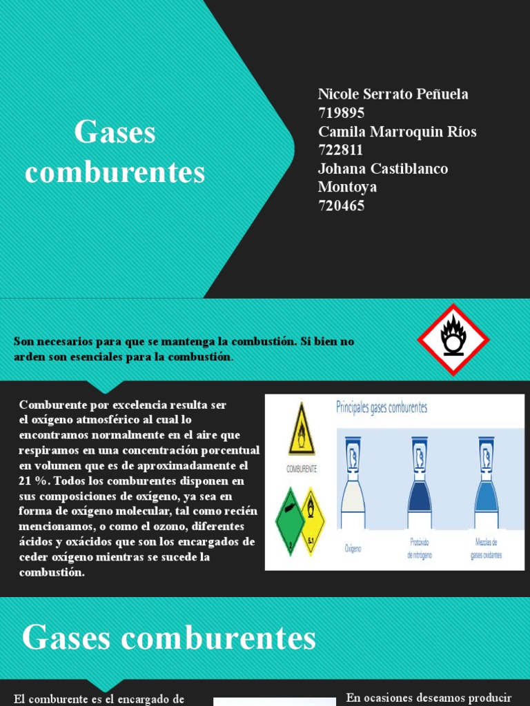 Gases Comburentes | PDF